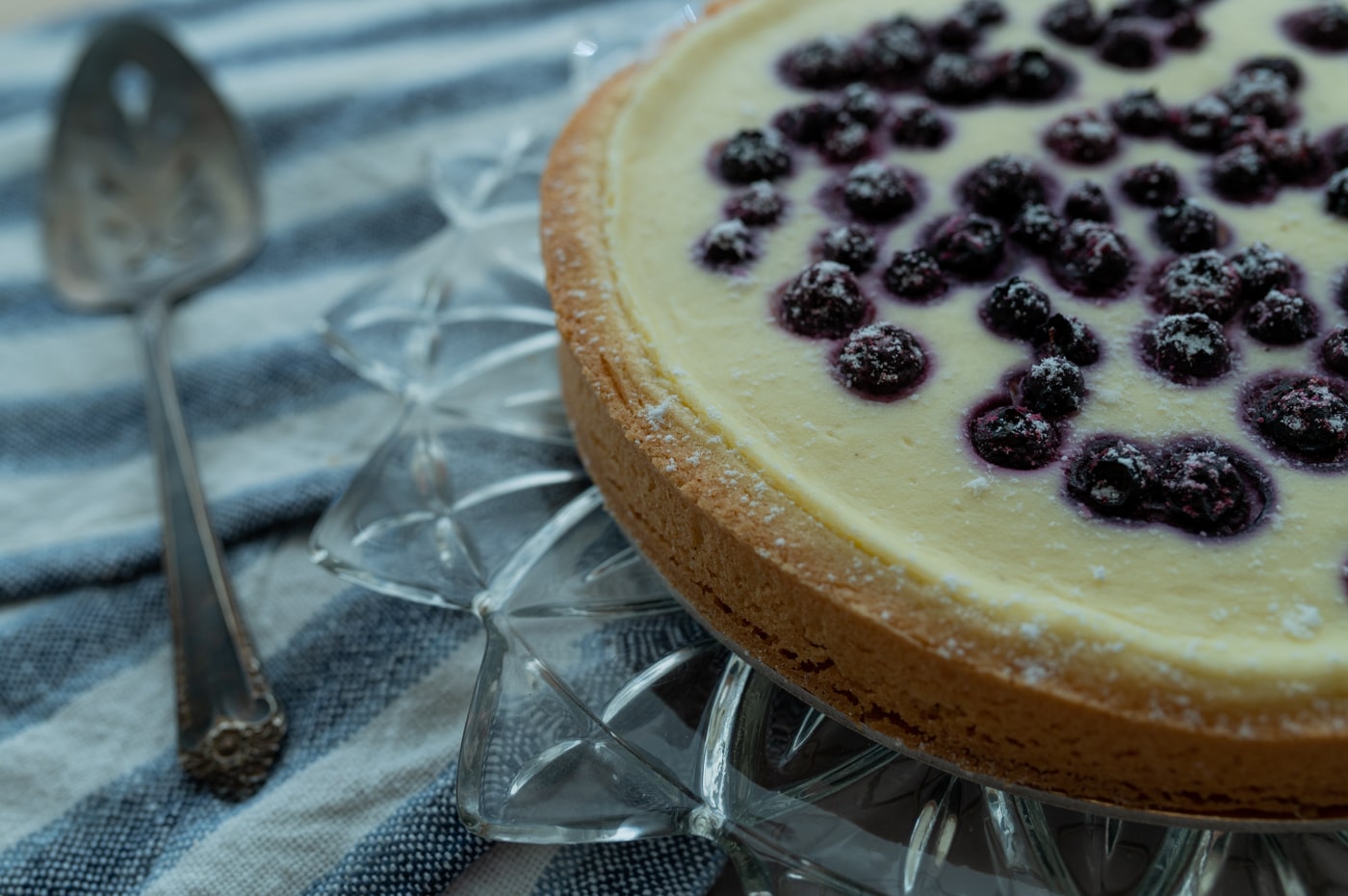 Blueberry Custard Flan Bon Ton Bakery